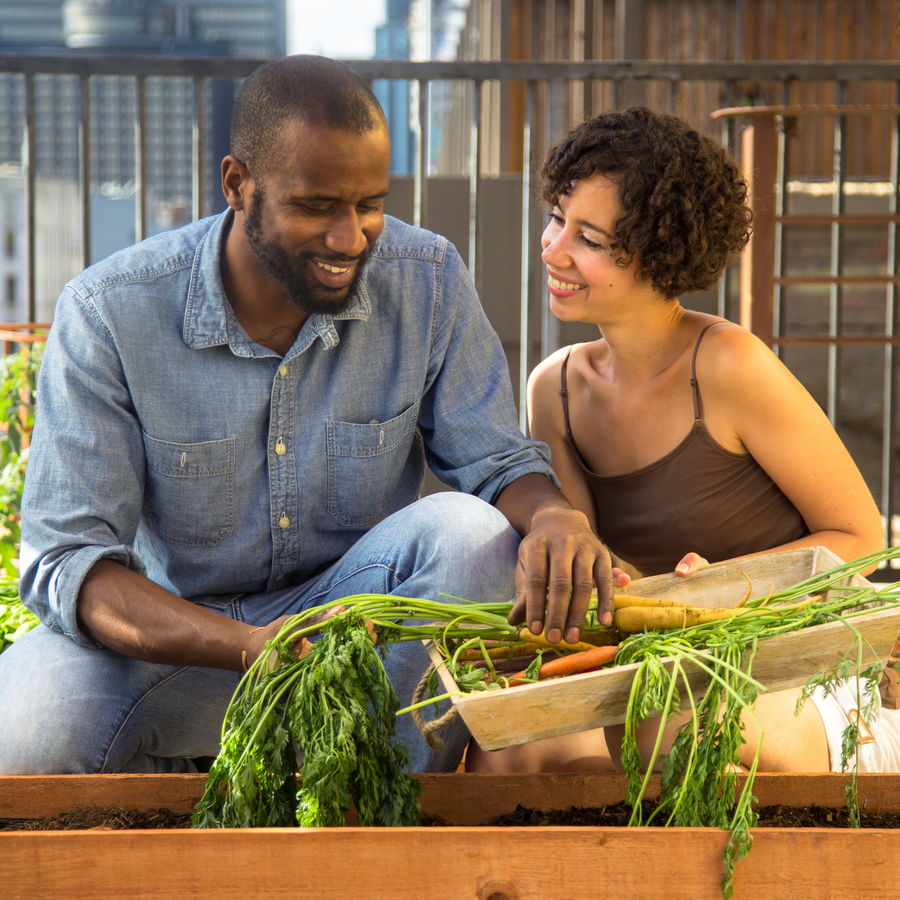 Strengthen Your Relationship Through Gardening Together: Benefits and Tips