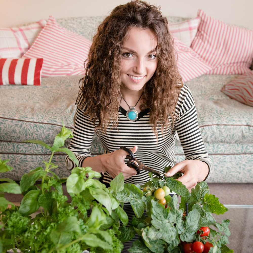 The Surprising Benefits of a Home Indoor Garden